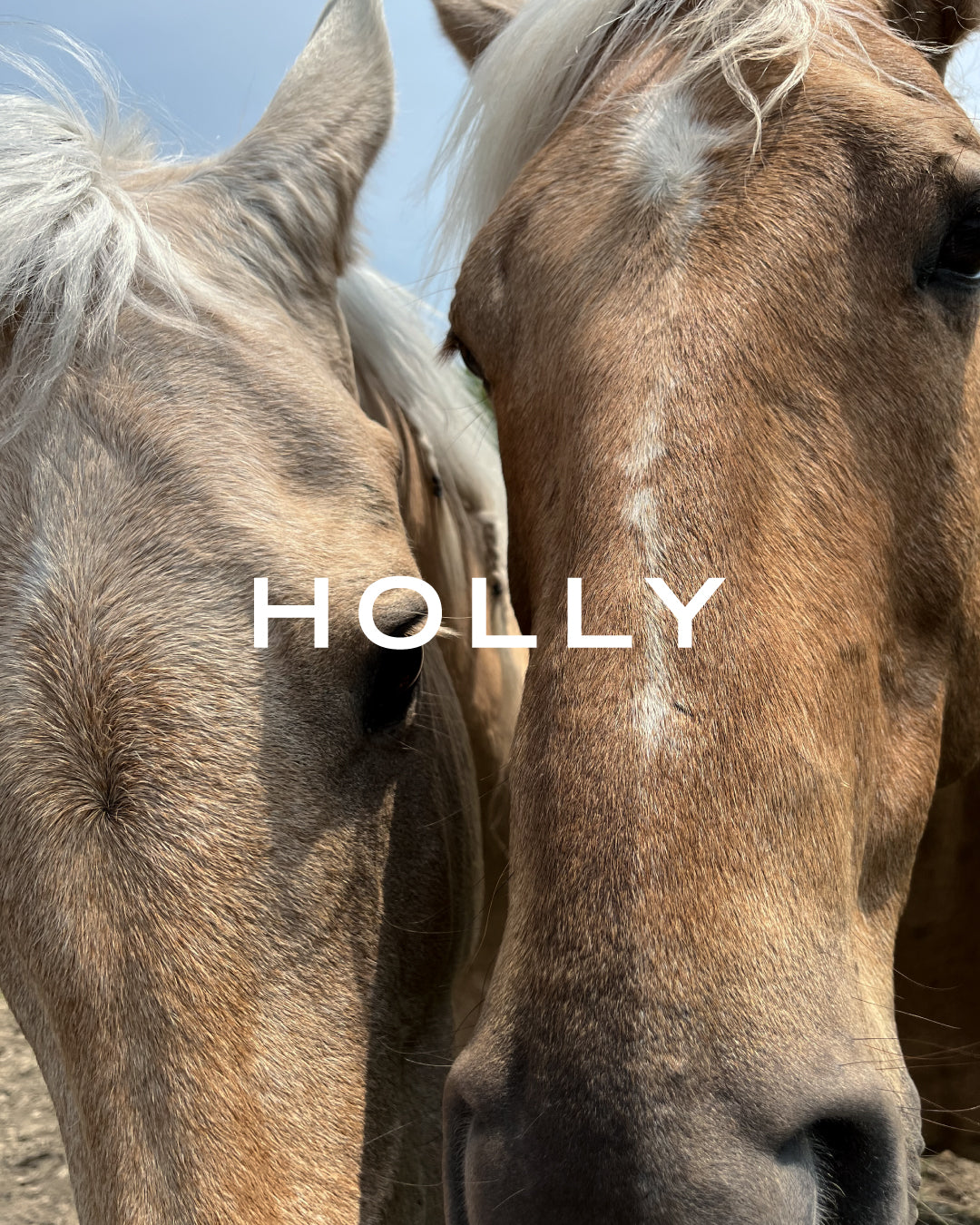 HOME – holly-studio